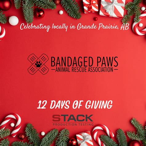 Welcome To Day 4 Of Stacks 12 Stack Production Testing