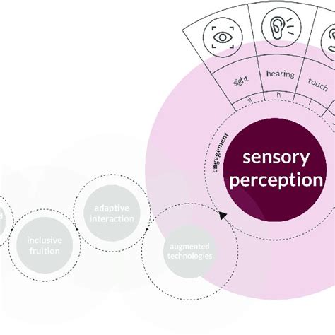 multisensory fruition model focus on sensory perception download
