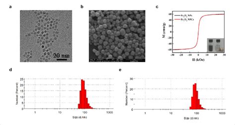 Characterization Of The Superparamagnetic Fe 3 O 4 Nanoparticle Download Scientific Diagram