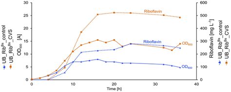 fed‐batch fermentations with ub ribbs using 150 mm of methanol as