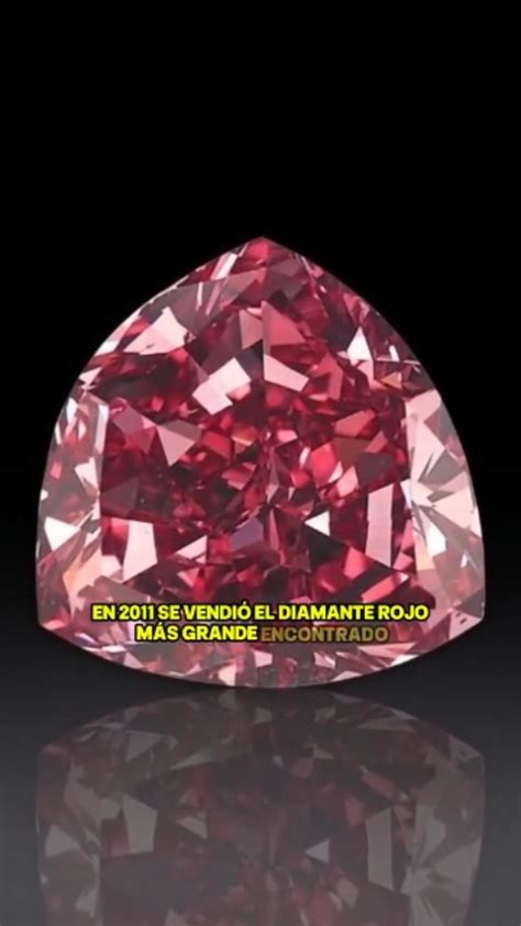 ️ Ciencia Química Y Biología ⚛️ Los Pulpos Son Más Que Criaturas