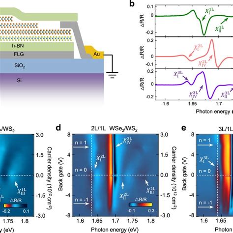 Mim Measurements Of Correlated States In Different Moiré Download Scientific Diagram