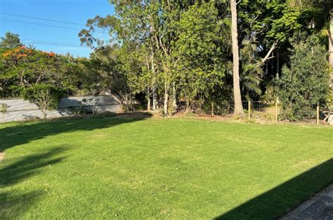 Lawn Care Transform Tree Care