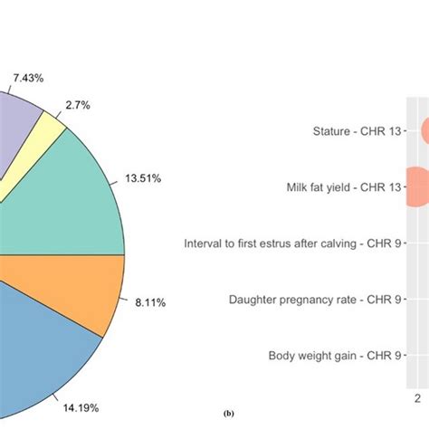A Pie Plot Showing The Percentage Of Each Qtl Class Annotated In The Download Scientific