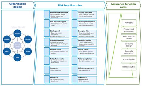 Setting Your Risk Function Up For Success • Todd Davies And Associates