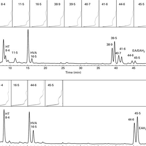Hplc Chromatogram With Photodiode Array Detection 200 350 Nm Of The