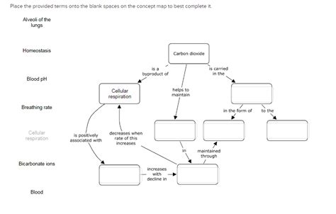 solved place the provided terms onto the blank spaces on the