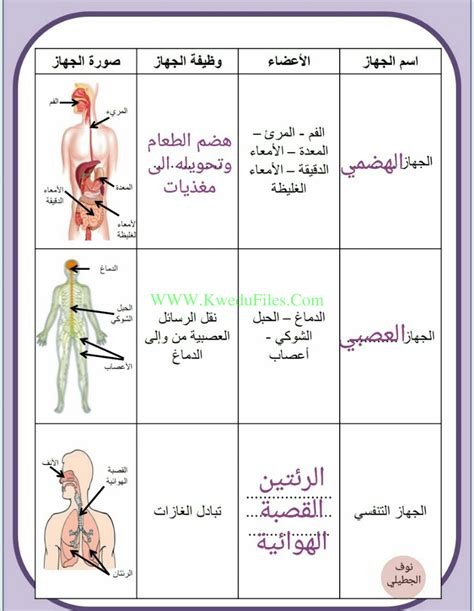 أحدث ملفات الصف الرابع علوم الفصل الثاني