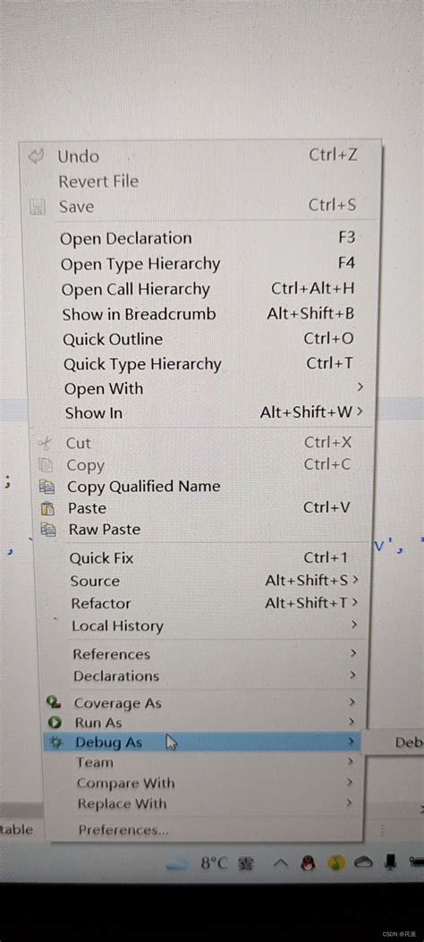 理解debug Csdn博客 理解debug Csdn博客