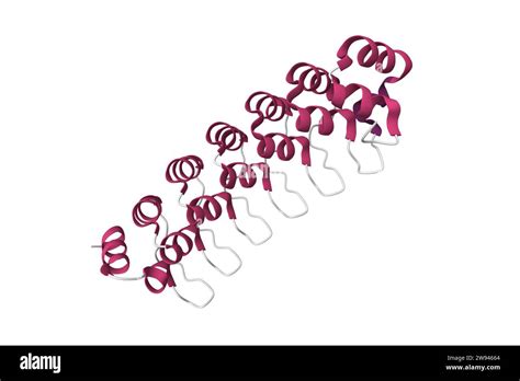 Structure Of Human Gankyrin 3d Cartoon Modell Pdb 1uoh Secondary Structure Color Scheme