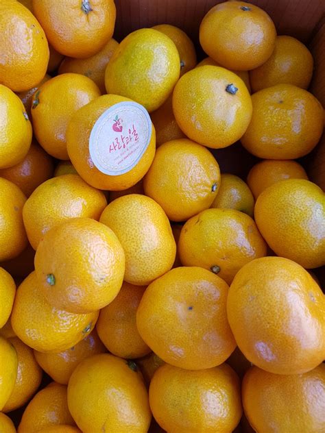 사랑과일 광주컵과일 광주간식 광주유치원간식 광주행사간식 광주배달간식 네이버 블로그