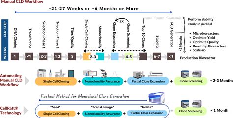 Cell Microsystems How The Cellraft Technology Works