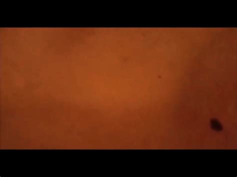 Blonde Deutsche Schlampe Wird Von Nerd Gefickt Eporner