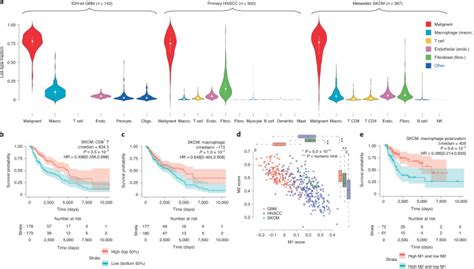 cell type and gene expression deconvolution with bayesprism enables