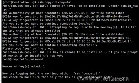 基于packstack部署多节点的openstack（附文档）packstack多节点部署openstack Csdn博客