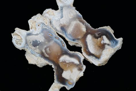 Blue Geodes Coralgeodes Store