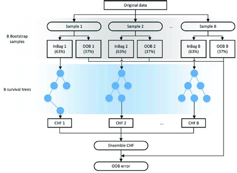 the flowchart of rsf adapted from [24] download scientific diagram