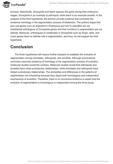 Evolution Of Chordates Annelids Arthropods 471 Words Essay Example