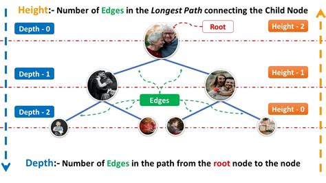 introduction to tree in data structures and algorithm dsa