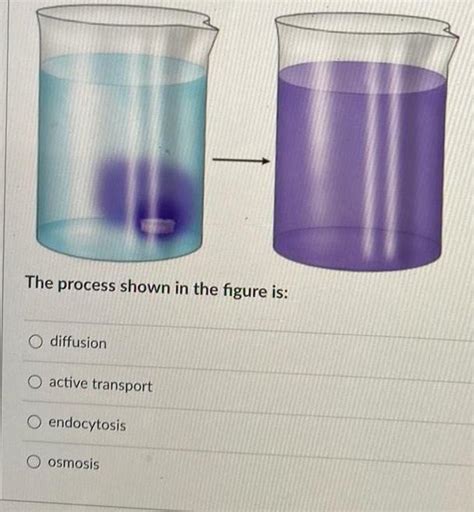 Answered The Process Shown In The Figure Is O Diffusion Active Kunduz
