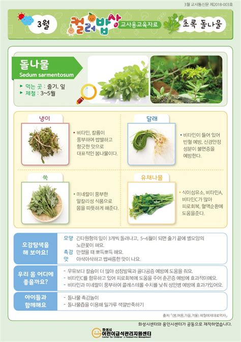 2018년 3월 교사·어린이 교육자료 컬러푸드 돌나물 네이버 블로그