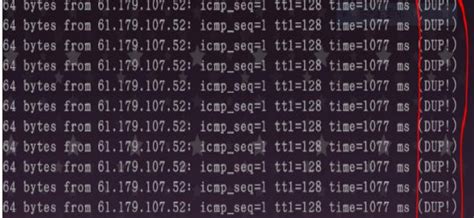 Ping包出现dup！ 山石网科知识库