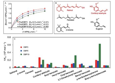 Ligand Binding Assays A Binding Of The Fluorescent Probe 1 NPN Download Scientific Diagram
