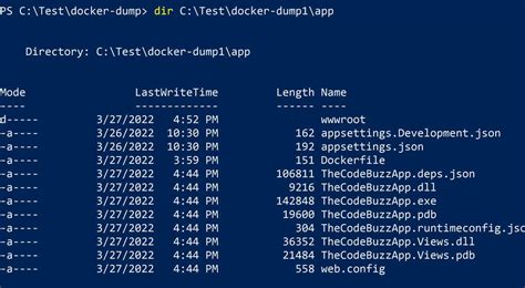 How To Explore Docker Containers File System TheCodeBuzz