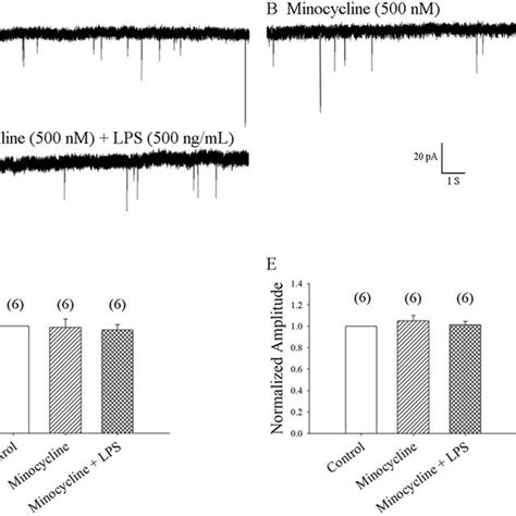 Pretreatment With Minocycline Prevented Lps Induced Enhancement Of