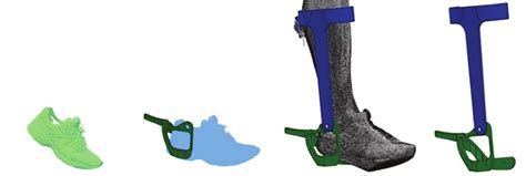 foot segment modelling sequence download scientific diagram