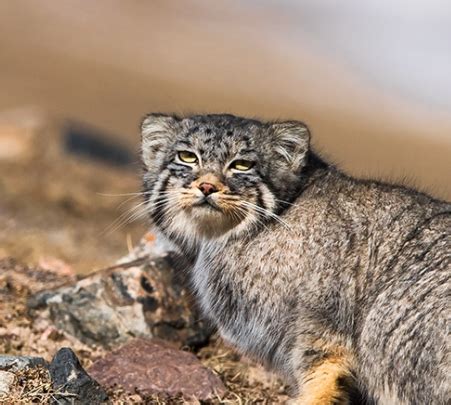 Windows Server 事件管理器DLLC Windows System bitsperf dll中服务BITS的打开过程失败该服务的性能数据将不可使用数据段 Windows Server 事件管理器DLLC Windows System bitsperf dll中服务BITS的打开过程失败该服务的性能数据将不可使用数据段