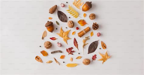 다양한 단풍과 과일로 만든 크리스마스 트리 플랫 레이 새해 개념입니다 사진 Unsplash의 크리스마스 이미지