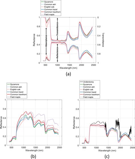 Spectral Properties Of Different Tree Species A Reflectance And