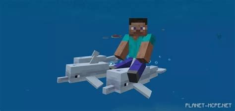 Download Controllable Rideable Dolphins Mod For Minecraft 120 119 118 For Free