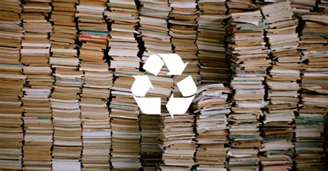 How To Recycle Books In 2025 A Complete Guide Bookscouter Blog