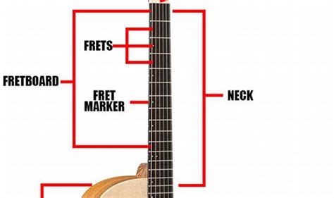 Discover The Secrets Of The Acoustic Guitar Unlocking Insights With