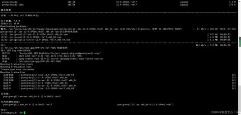 Postgresql 下载与安装（亲测有效）postsql 下载安全知恩于心丶dz的博客 Csdn博客