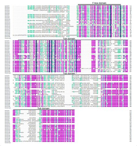 multiple sequence alignment of gmtlp proteins from soybean using