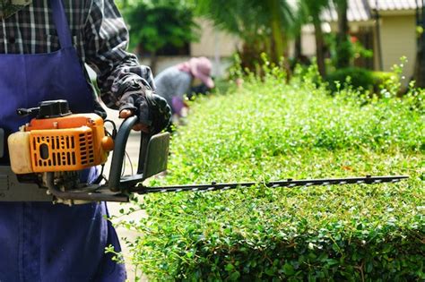 Premium Photo Gardeners Cutting Small Tree In Garden
