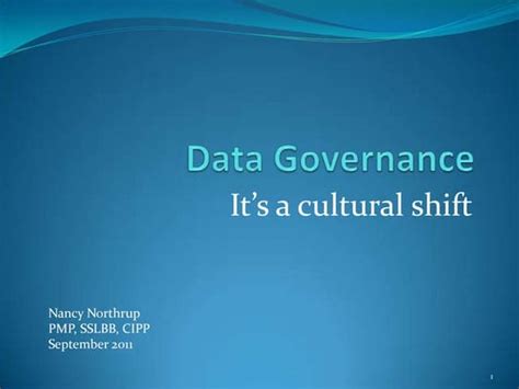 Comprehensive Data Governance Program | PDF