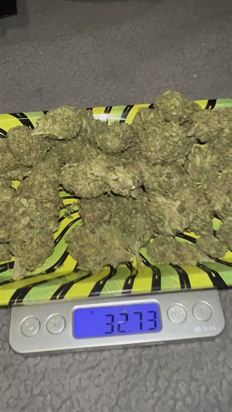 kush loops r hempflowers