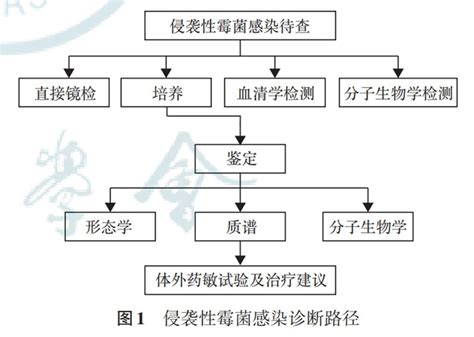 【星云病原】 《侵袭性霉菌感染实验室诊断临床应用专家共识（2024版）》 知乎