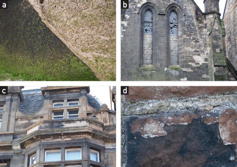 4 Examples Of Non Cleaned Buildings A Stone Deterioration Problems Download Scientific