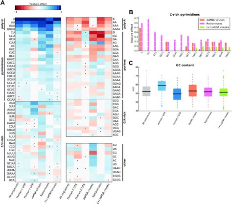 overview of ires global sequence features a robust and predictive