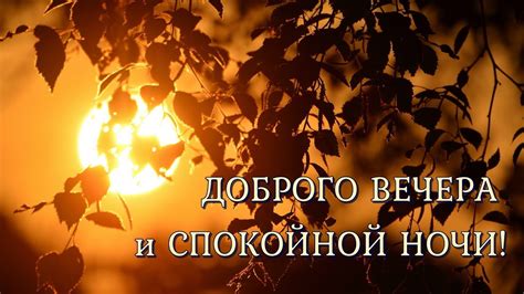 ДОБРОГО ВЕЧЕРА и СПОКОЙНОЙ НОЧИ Youtube