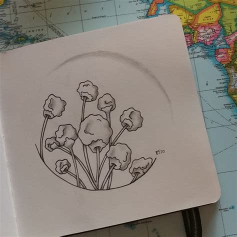 27 Intermediate Zentangle Ideas Emily Suess