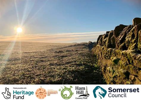 South Somerset District Council The Prime Minister And The Government Has Been Clear