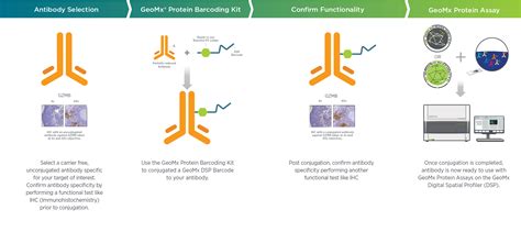Geomx Protein Assays For Biological Research Nanostring