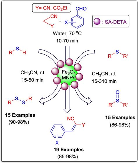 Synthesis And Characterization Of Sulfamic Acid Supported On Fe3o4 Nanoparticles A Green