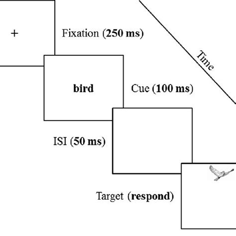 Trial Procedure Of Experiments 1 And 2 Illustrating A Trial With An